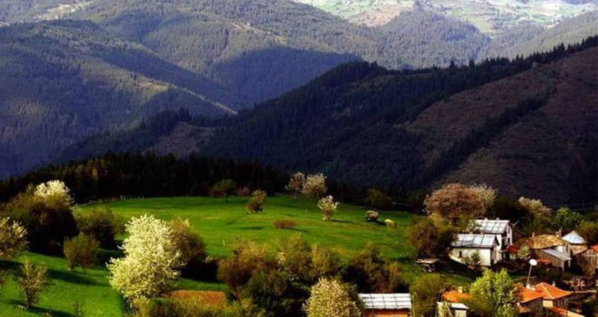 Why to go to Bulgaria this summer? Kelso Online - Scottish Borders